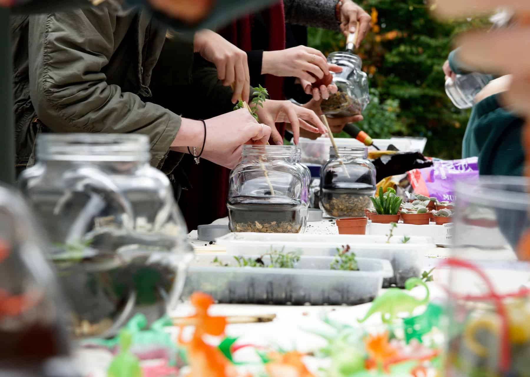 29 Jan - Better You: Create your own mini terrarium - Better Bankside
